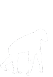 Home | Sophic Automation