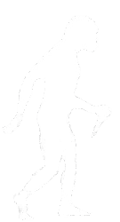 Home | Sophic Automation